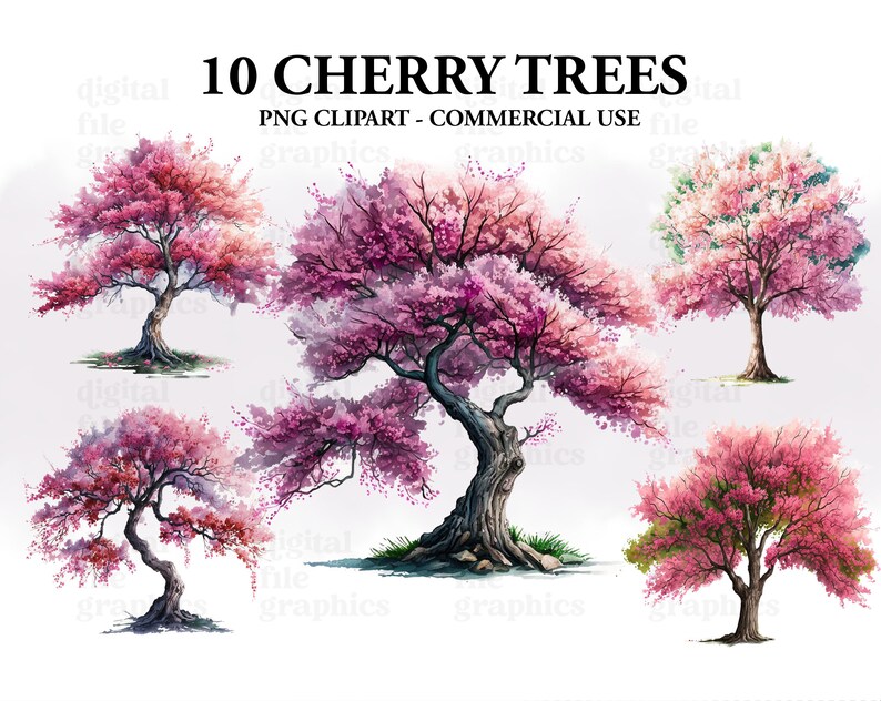 Cherry Tree Watercolor Clipart Beautiful Trees Png Landscape - Etsy