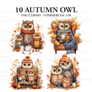 Autumn Cute Owl Watercolor Clipart, Fall Animal Clipart PNG, Kids ...