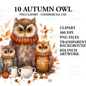 Autumn Cute Owl Watercolor Clipart, Fall Animal Clipart PNG, Kids ...