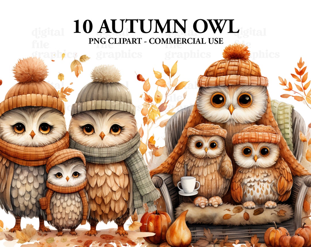 Autumn Cute Owl Watercolor Clipart, Fall Animal Clipart PNG, Kids ...