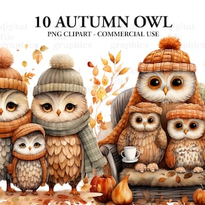 Autumn Cute Owl Watercolor Clipart, Fall Animal Clipart PNG, Kids ...