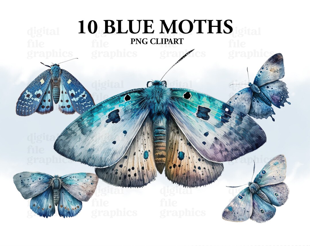 Blue Moths Watercolor Clipart, Moths Fantasy Style, Magical Clipart, Witchcraft Bundle PNG ...