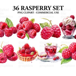 Rasberry Watercolor Clipart, Rasberry Clipart, Rasberry Cake Bundle PNG ...