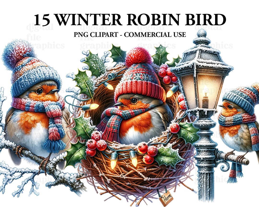 Winter Robin Bird Watercolor Clipart, Frost Robin Bird Clipart PNG ...