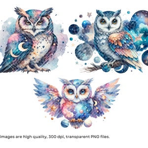 Owl and Moon Watercolor Clipart, Celestial Owls Clipart, Fantasy ...
