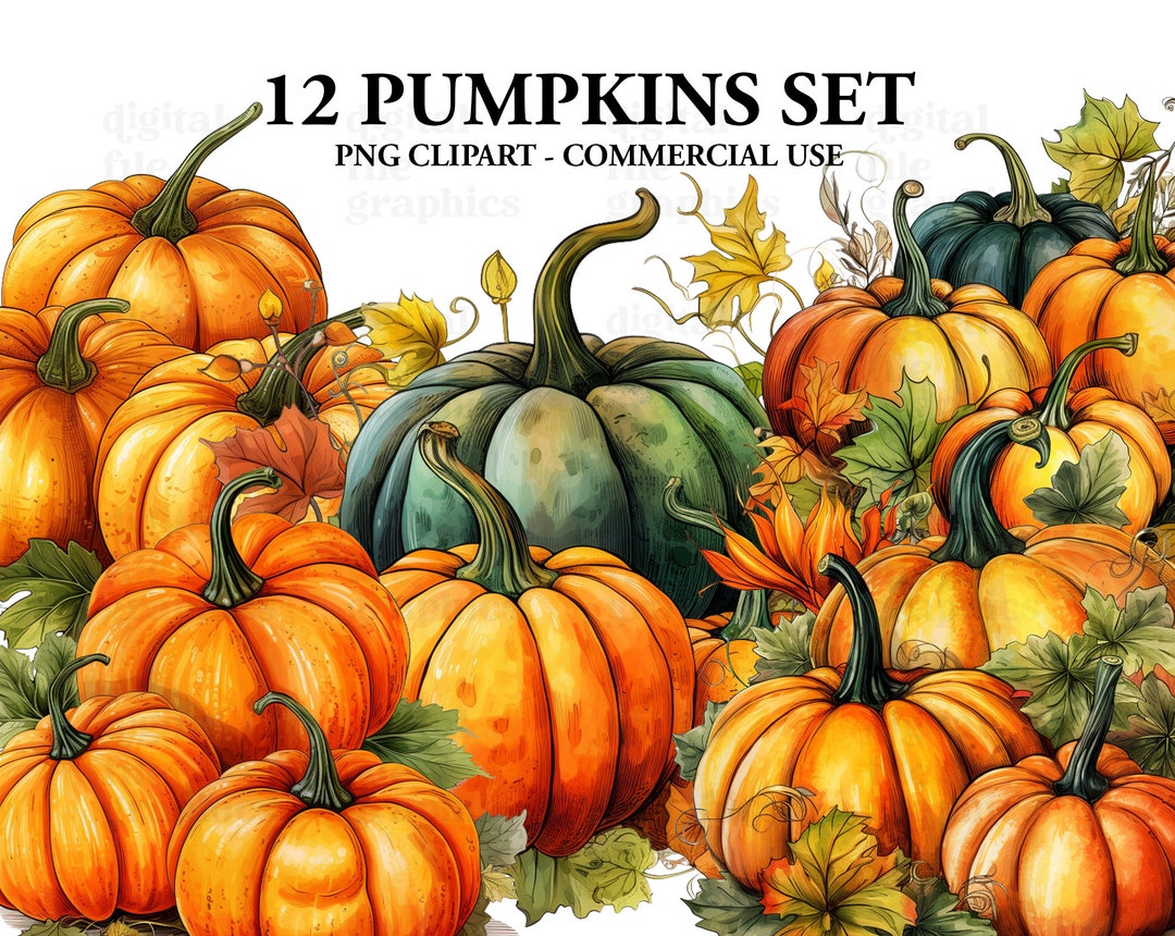 Autumn Pumpkin Watercolor Clipart, Fall Orange Pumpkin Clipart PNG ...