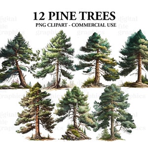 Pine Tree Watercolor Clipart, Beautiful Trees Png, Landscape Art ...