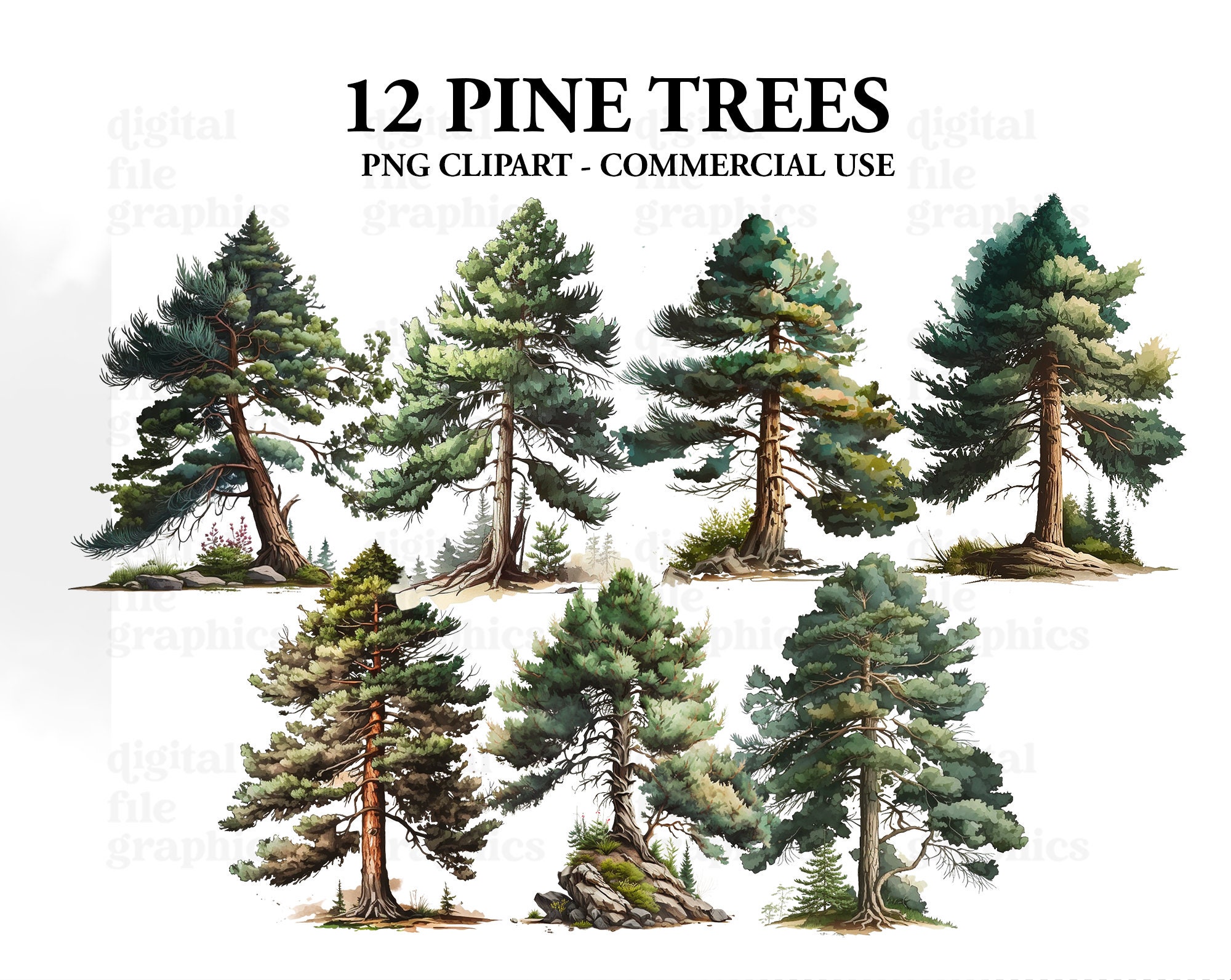 Pine Tree Watercolor Clipart Beautiful Trees Png Landscape - Etsy