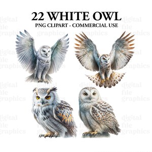 White Owl Watercolor Clipart, Magical Mystical Art, Fantasy Clipart ...