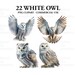 White Owl Watercolor Clipart, Magical Mystical Art, Fantasy Clipart ...