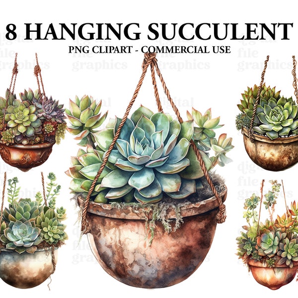 Hanging Succulent - Etsy