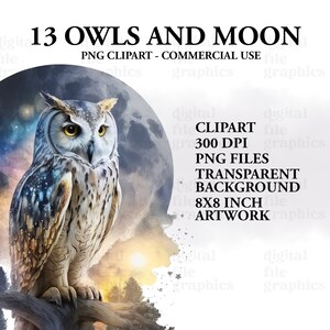 Owl and Moon Watercolor Clipart, Owls Clipart, Fantasy Clipart, White ...