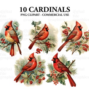 Red Cardinal Watercolor Clipart, Winter Birds Png, Christmas Vintage ...