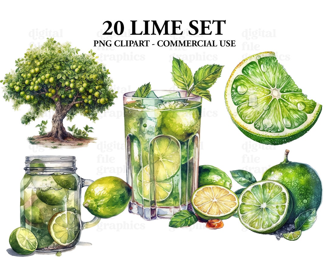 Lime Watercolor Clipart, Lime Fruit Clipart, Lime Bundle PNG, Clipart ...