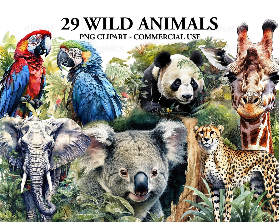 Wild Animals Clipart Clipart, Elephant Clipart PNG, Jungle Animal PNG ...