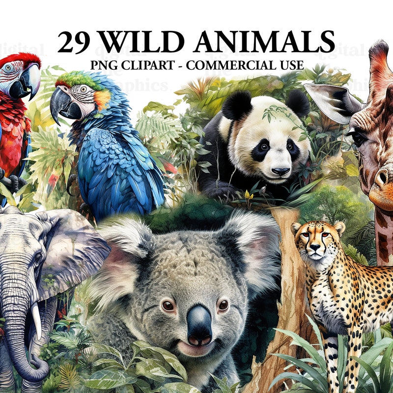 Jungle Animals Svg - Etsy