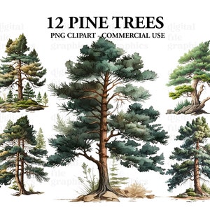 Pine Tree Watercolor Clipart, Beautiful Trees Png, Landscape Art ...