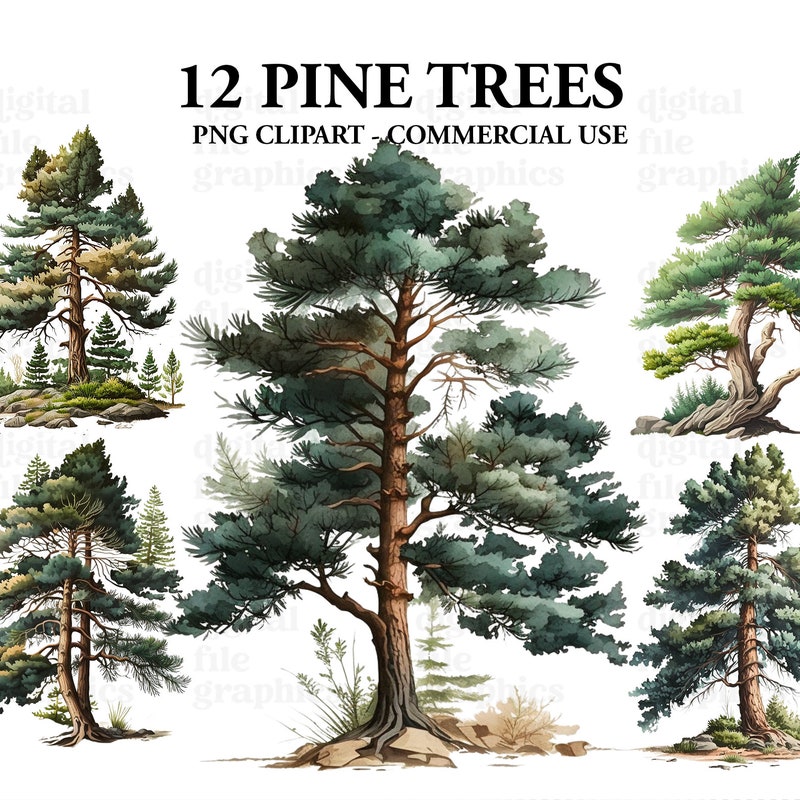 Pine Tree Art - Etsy