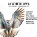 White Owl Watercolor Clipart, Magical Mystical Art, Fantasy Clipart ...