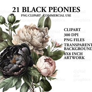 BLACK Peonies Watercolor Clipart, Summer Flowers Clipart, Peonies ...