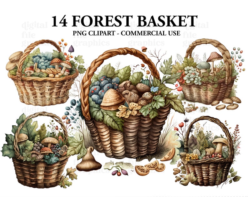 Forest Basket Watercolor Clipart Mushrooms Clip Art Etsy