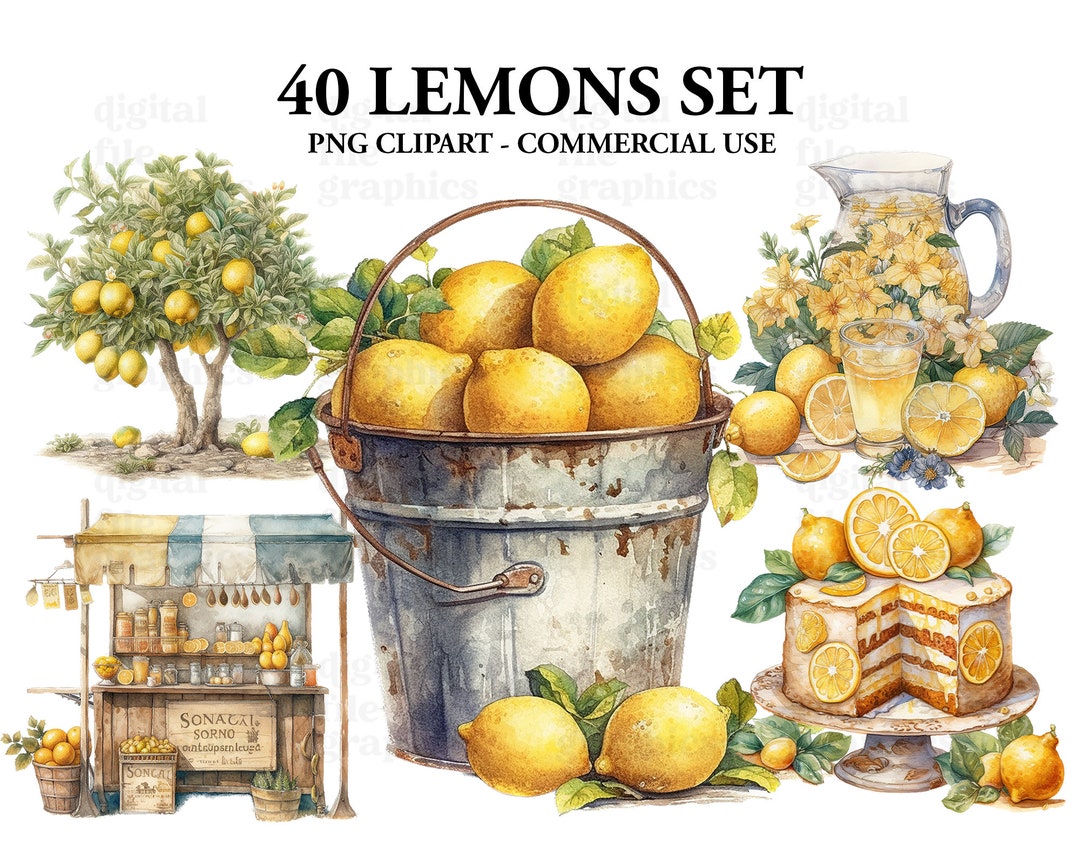 Zitrone Aquarell Clipart Zitrone LKW Clipart Zitronen Bundle - Etsy.de