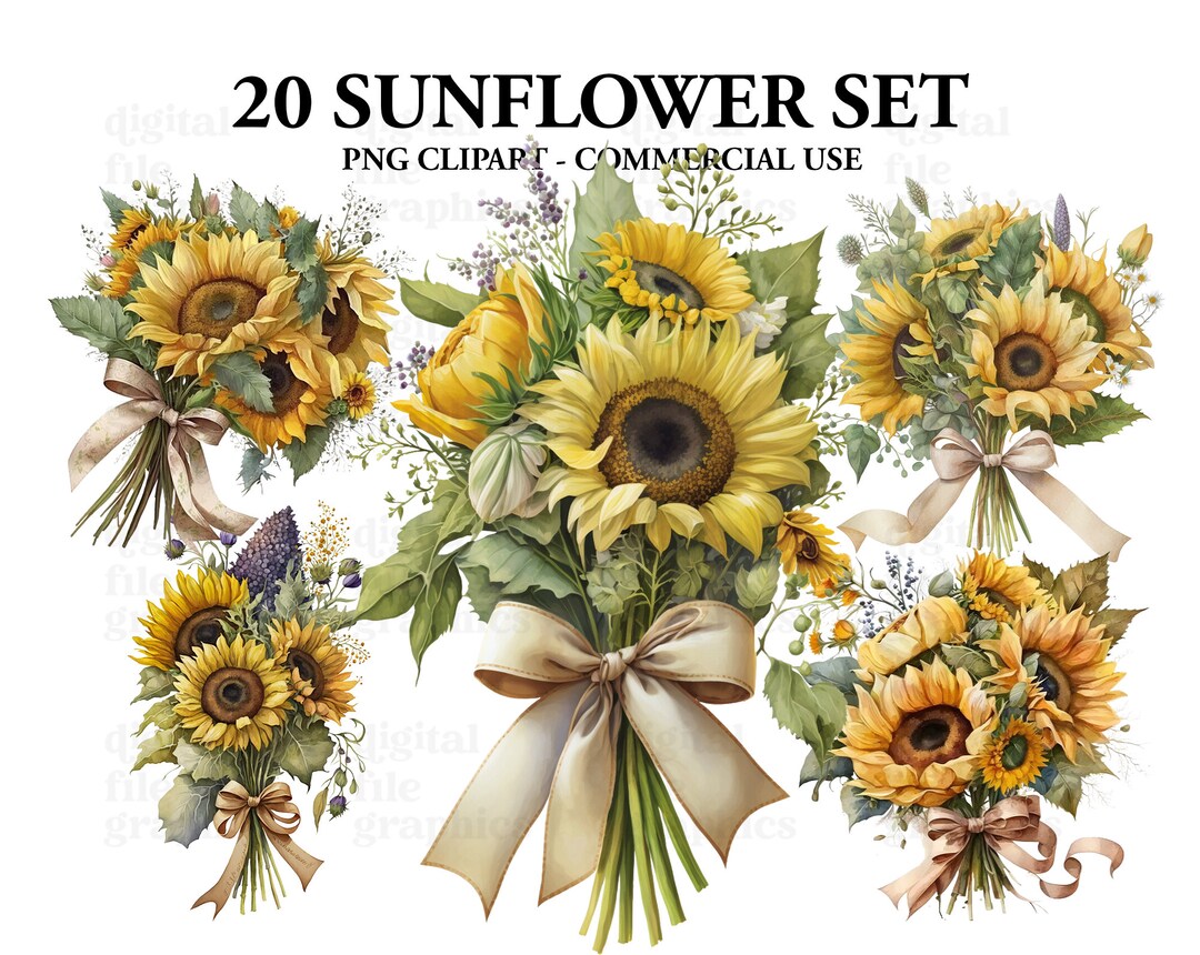 Sunflower Watercolor Clipart, Summer Flowers Clipart, Sunflowers Bundle ...