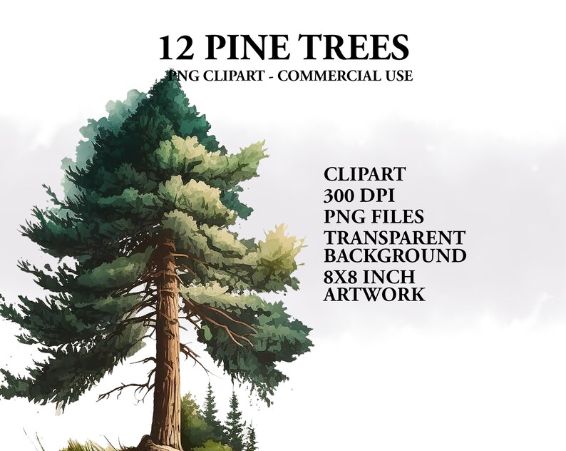 Pine Tree Watercolor Clipart Beautiful Trees Png Landscape - Etsy