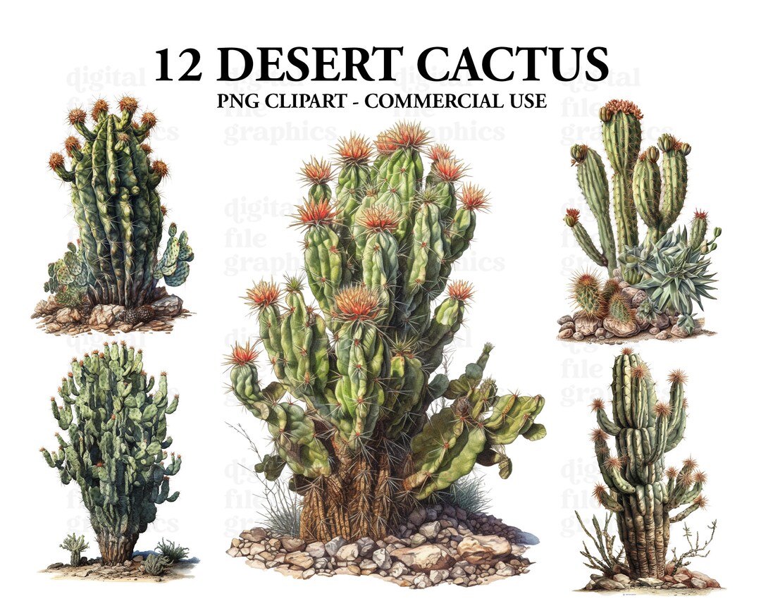 Desert Cactus Clipart Watercolor Clipart, Flower Clipart, Cactus Image ...