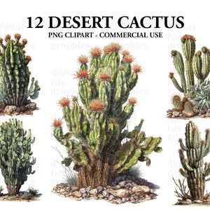 Desert Cactus Clipart Watercolor Clipart, Flower Clipart, Cactus Image ...