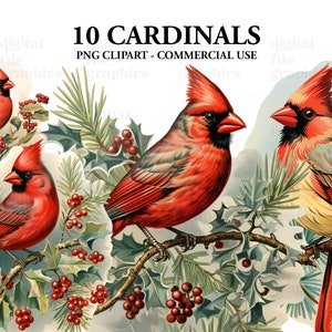 Red Cardinal Watercolor Clipart, Winter Birds Png, Christmas Vintage ...