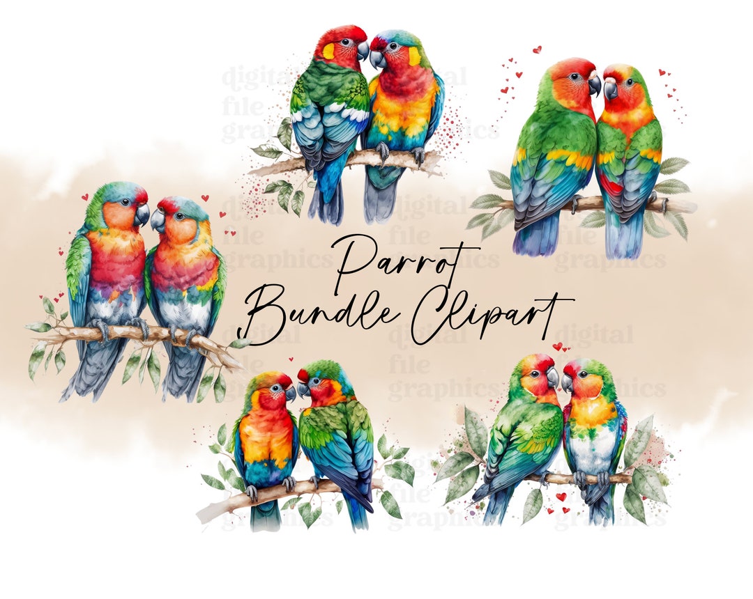 Bundle Colorful Parrot Bundle PNG, Watercolor Parrot PNG, Animal ...