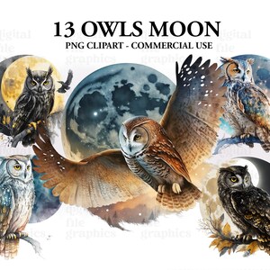 Owl and Moon Watercolor Clipart, Owls Clipart, Fantasy Clipart, White ...