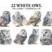 White Owl Watercolor Clipart, Magical Mystical Art, Fantasy Clipart ...