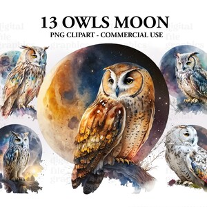 Owl and Moon Watercolor Clipart, Owls Clipart, Fantasy Clipart, White ...