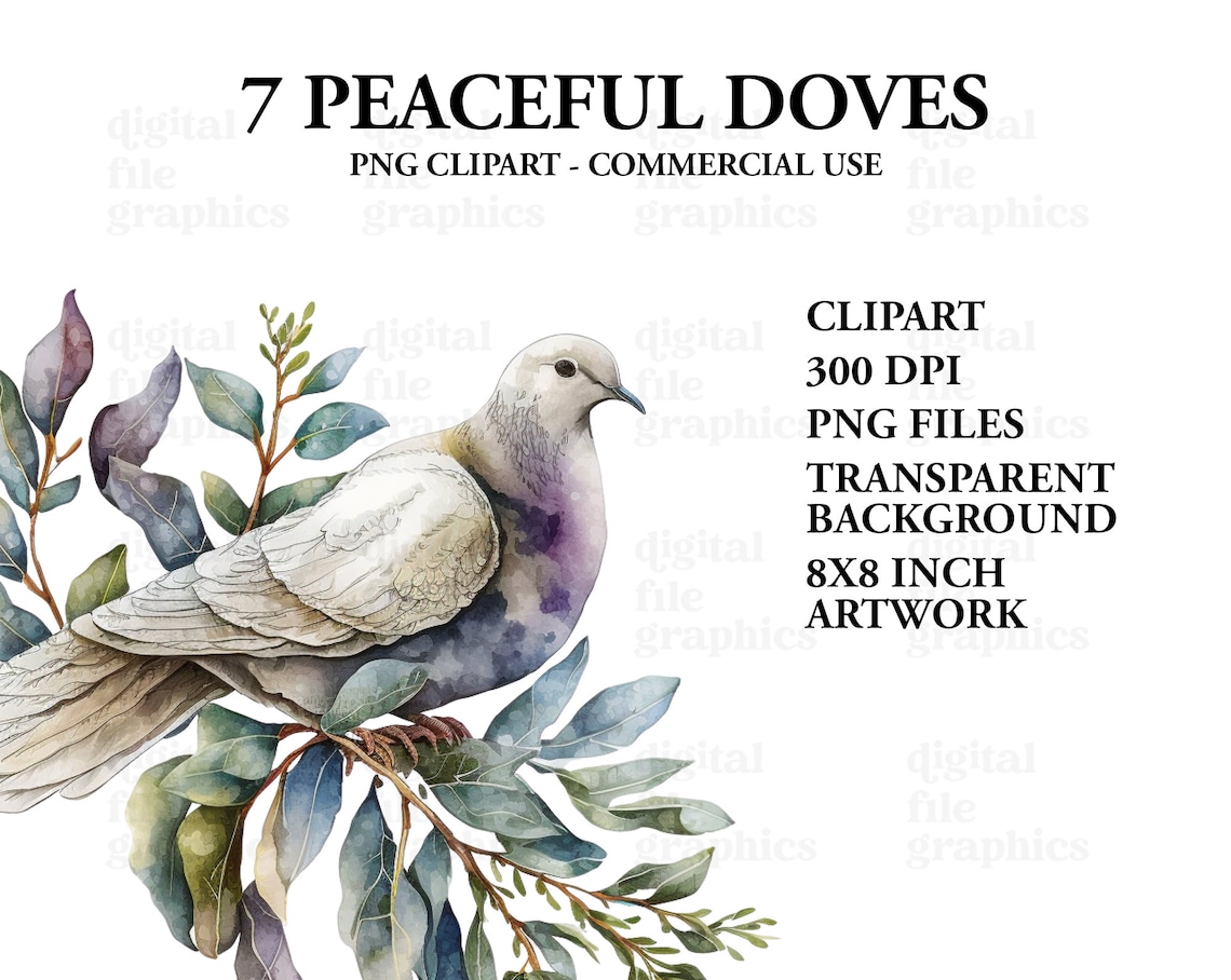 Taube Paar Clipart Taube PNG Aquarell Tauben PNG Tier - Etsy.de