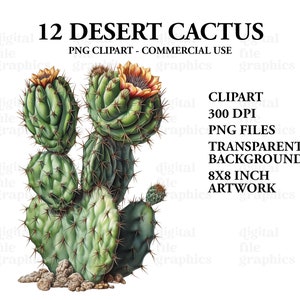 Desert Cactus Clipart Watercolor Clipart, Flower Clipart, Cactus Image ...