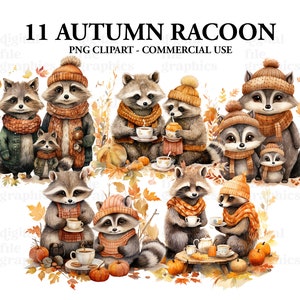 Autumn Cute Racoon Watercolor Clipart, Fall Animal Clipart PNG, Kids ...