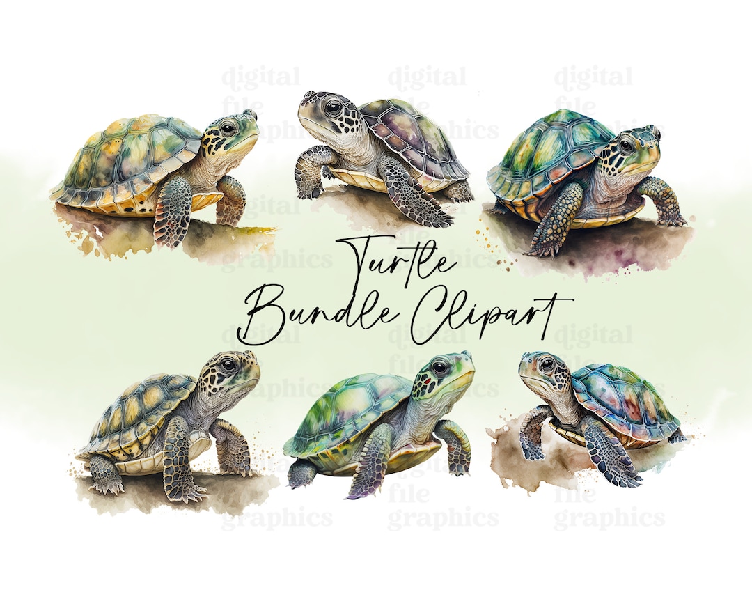 Turtle Clipart Bundle PNG, Watercolor Turtle PNG, Animal Clipart ...
