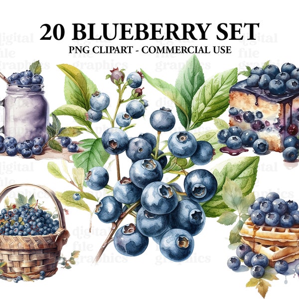 Watercolor Blueberry Print - Etsy