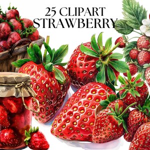 Strawberry Watercolor Clipart, Strawberry Clipart, Strawberries Bundle ...