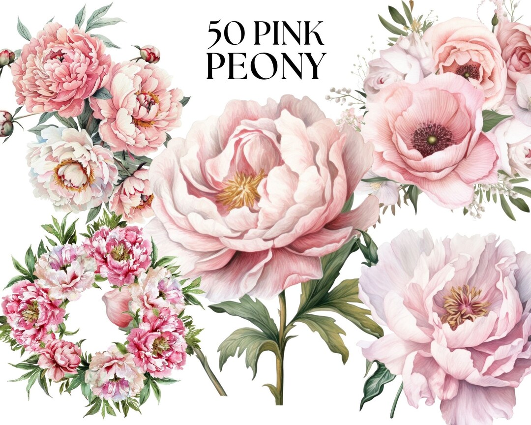 Pink Peony Abstract Flowers Clipart, Various Wedding Pink Flowers ...