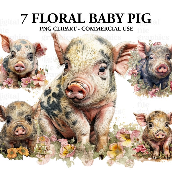 Pig Watercolor - Etsy