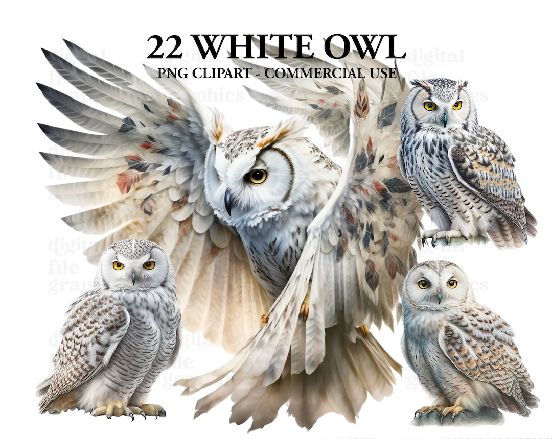 White Owl Watercolor Clipart, Magical Mystical Art, Fantasy Clipart ...