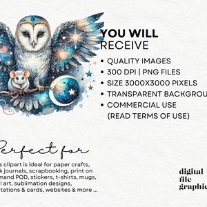 Owl and Moon Watercolor Clipart, Celestial Owls Clipart, Fantasy ...