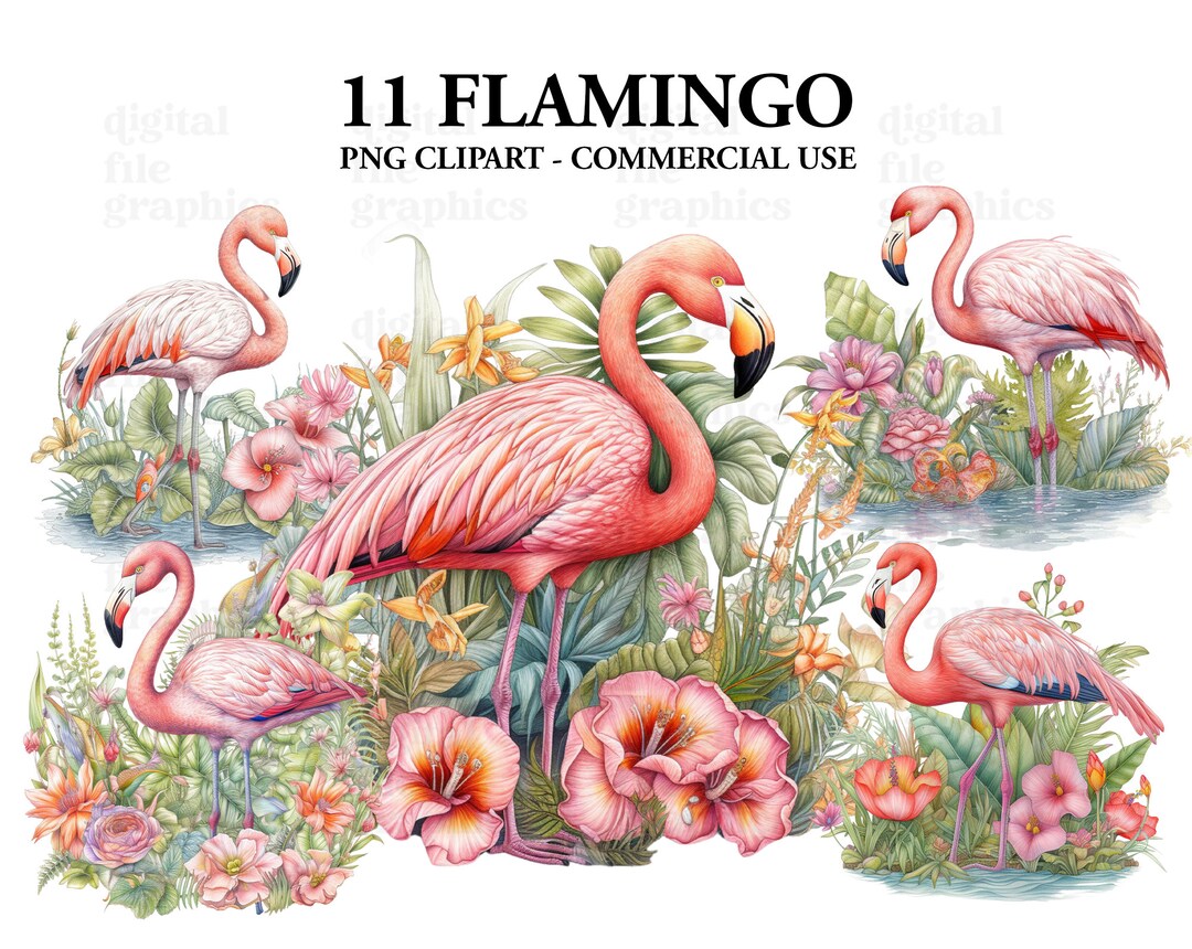 Flamingo Bird Watercolor Clipart, Flamingo Clipart PNG, Tropical Bird ...