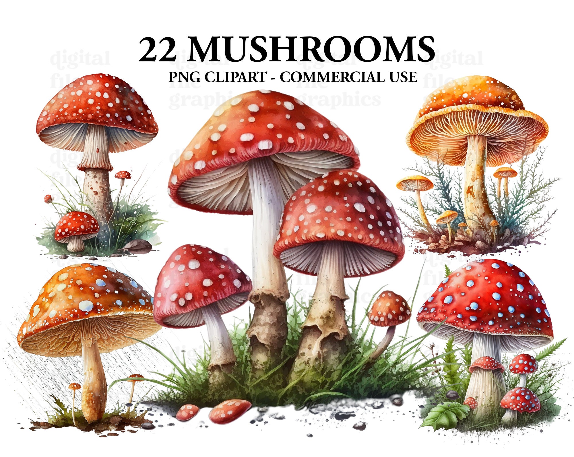 Mushroom Watercolor Clipart Watercolor Forest Art Fantasy - Etsy UK