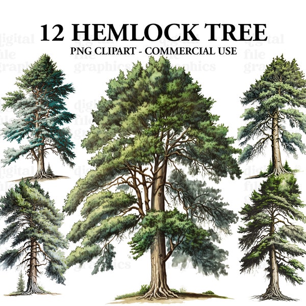 Hemlock Tree Svg - Etsy