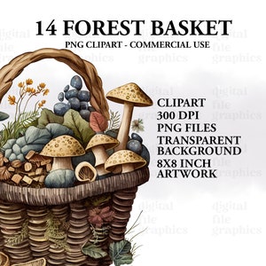 Forest Basket Watercolor Clipart Mushrooms Clip Art Blueberries Png
