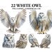 White Owl Watercolor Clipart Magical Mystical Art Fantasy - Etsy